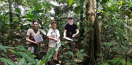Managed and spontaneous regeneration of trees in a reforestation trial ...